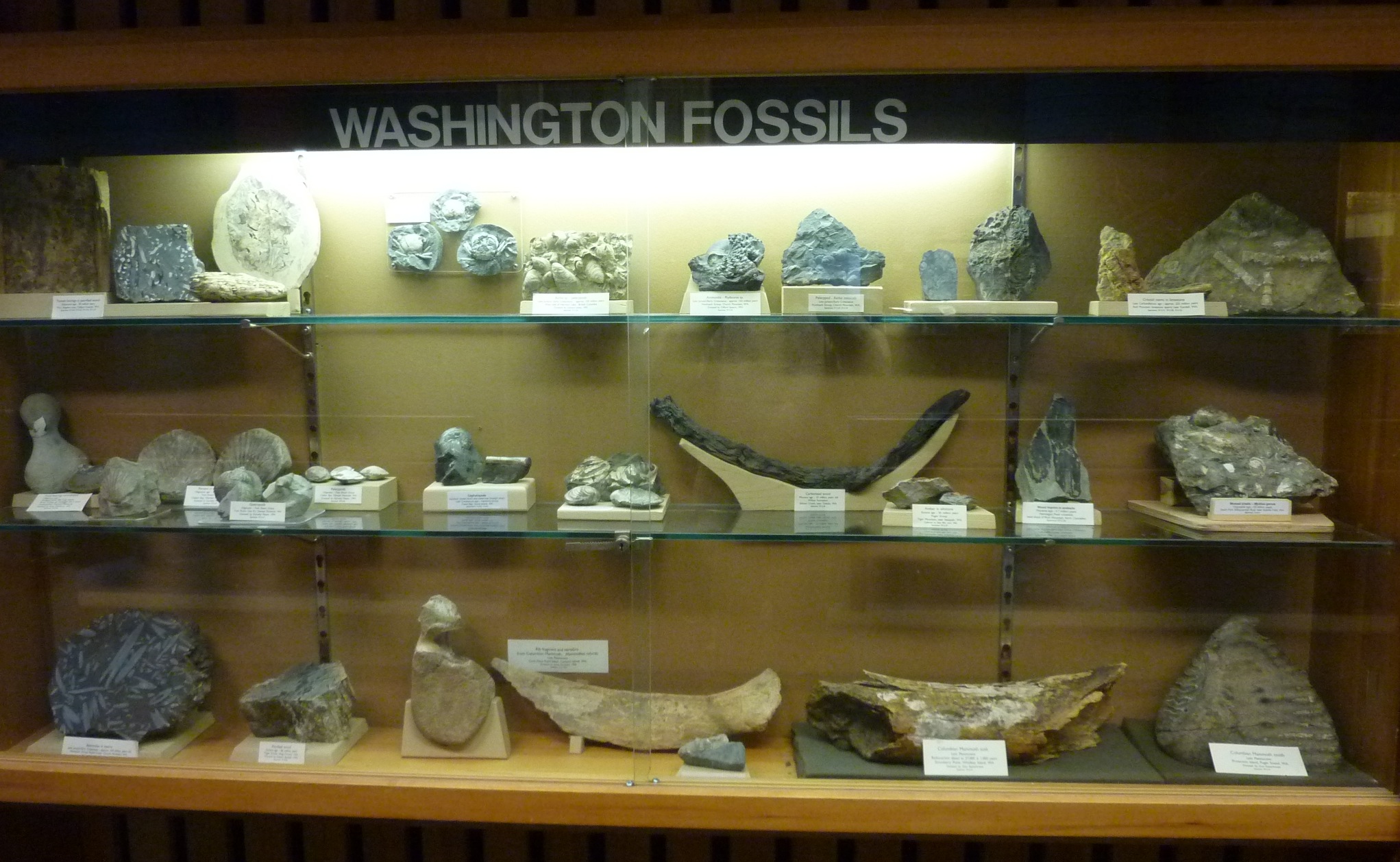 Displays on ES Floor 2