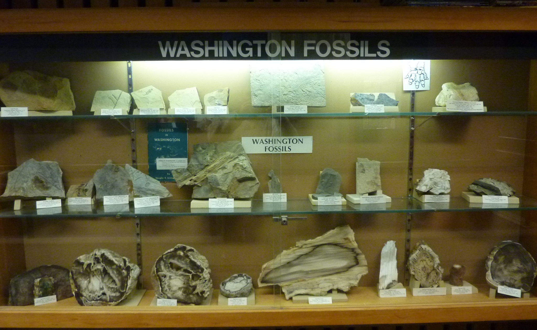 Displays on ES Floor 2