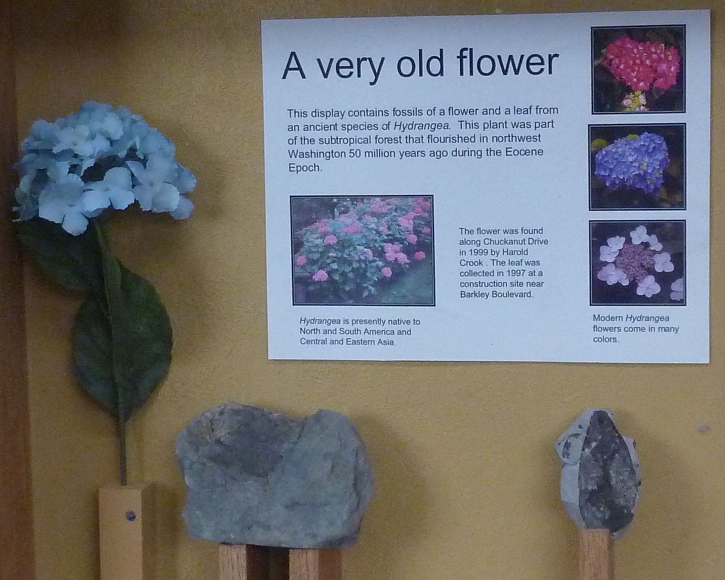 Displays on ES Floor 2